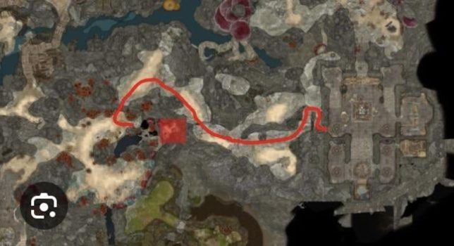 Fish People BG3 Myconid The Ultimate Guide to Discovering - Innovative ...